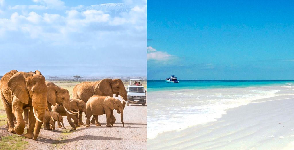 Leopard Beach Resort Bis N Chte Safari Kenia Bis Zu