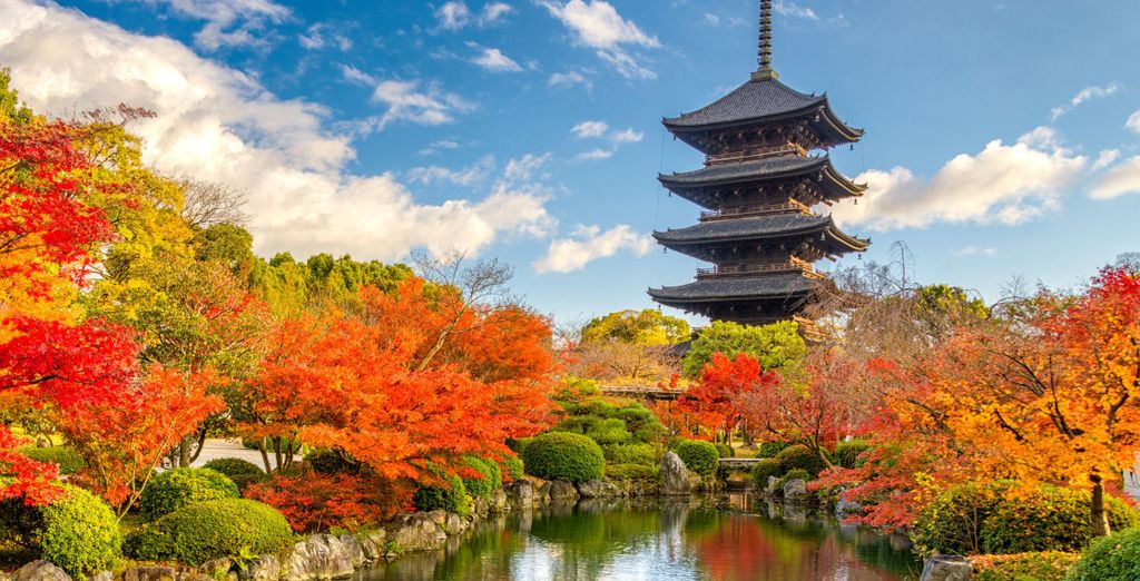 Rundreise durch Japan mit all seinen Facetten - Tokyo - Bis zu -70% ...