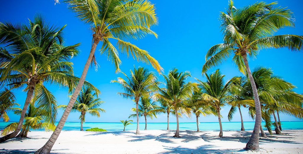 Vista Sol Punta Cana Beach Resort & Spa 4* - Punta Cana - Hasta -70% ...