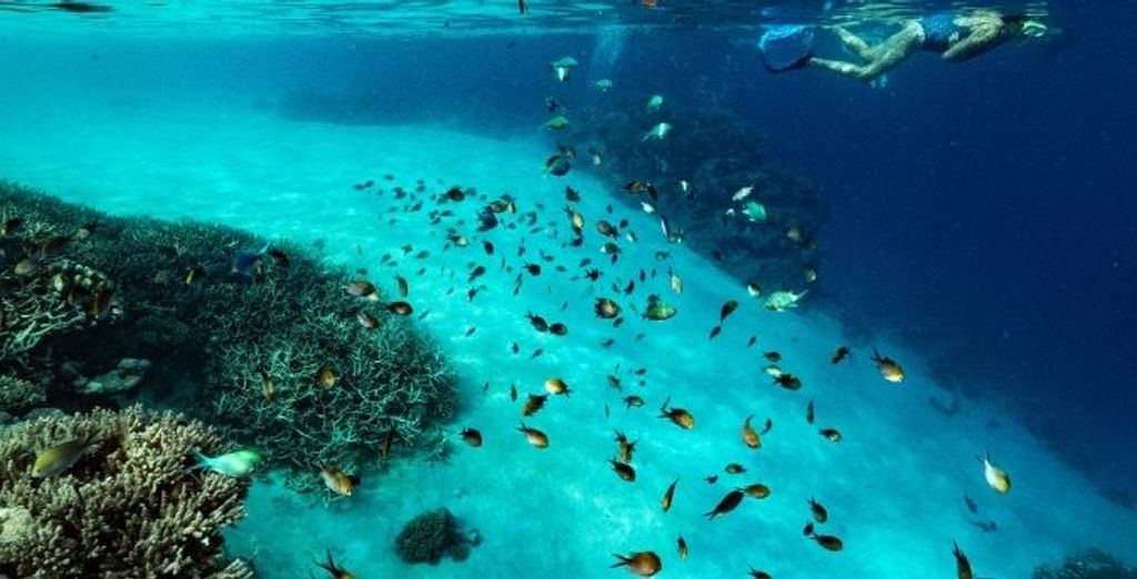 Top des hôtels à Mayotte, à prix exclusifs - Voyage Privé