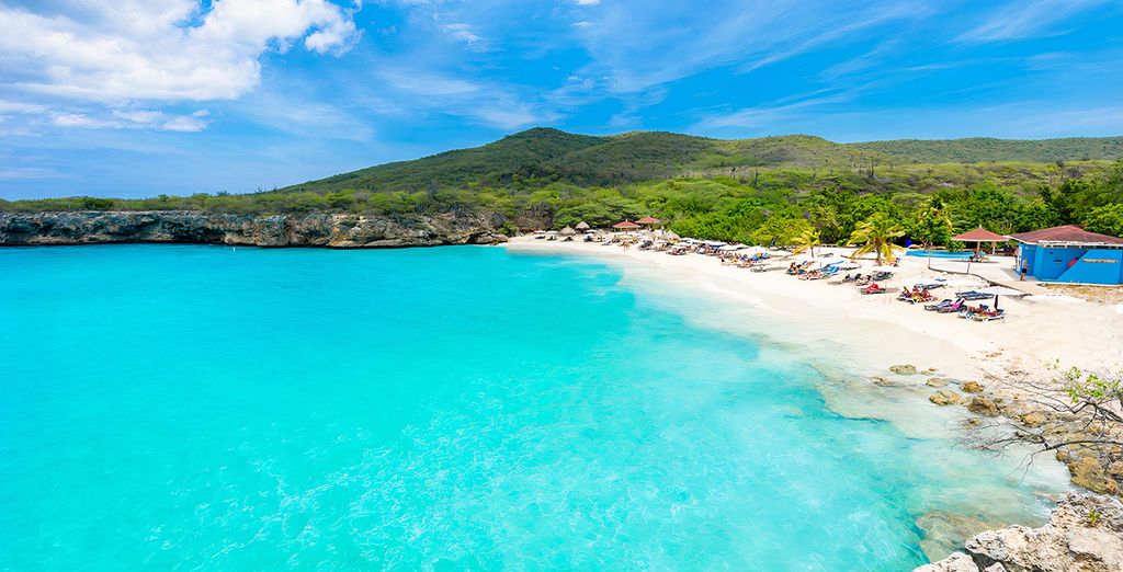 Elements Hotel & Shops Curaçao 4* - Willemstad - Up to 70% off | Voyage ...