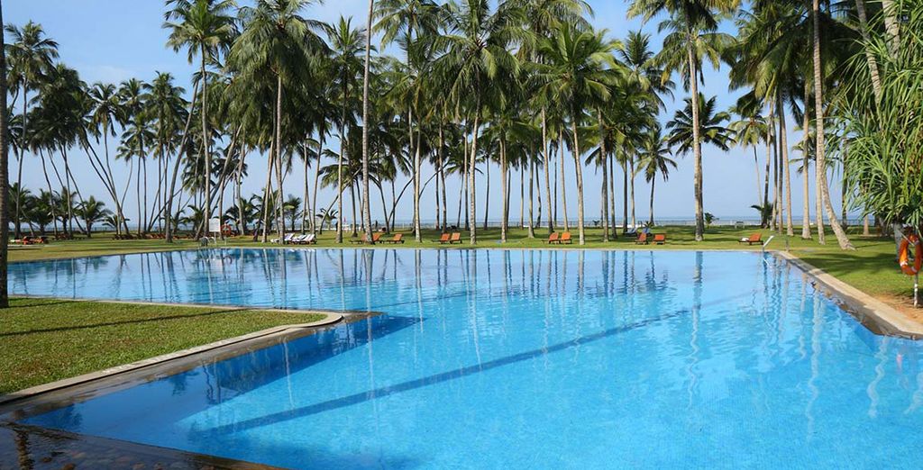 Reviews - The Blue Water Wadduwa 4* - Wadduwa | Voyage Privé